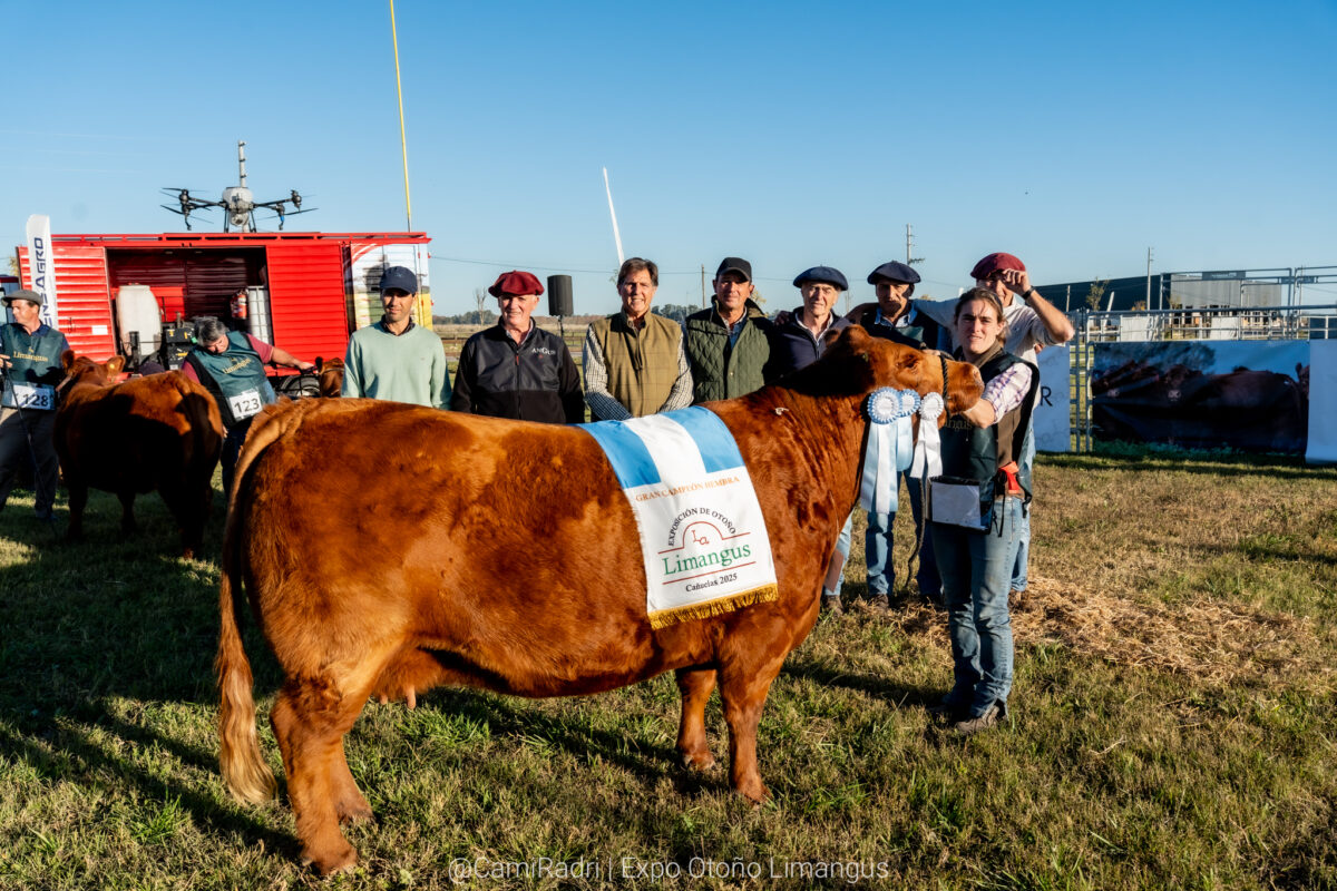 Expo Limangus Otoño – MAG 2025 – Cami Radri